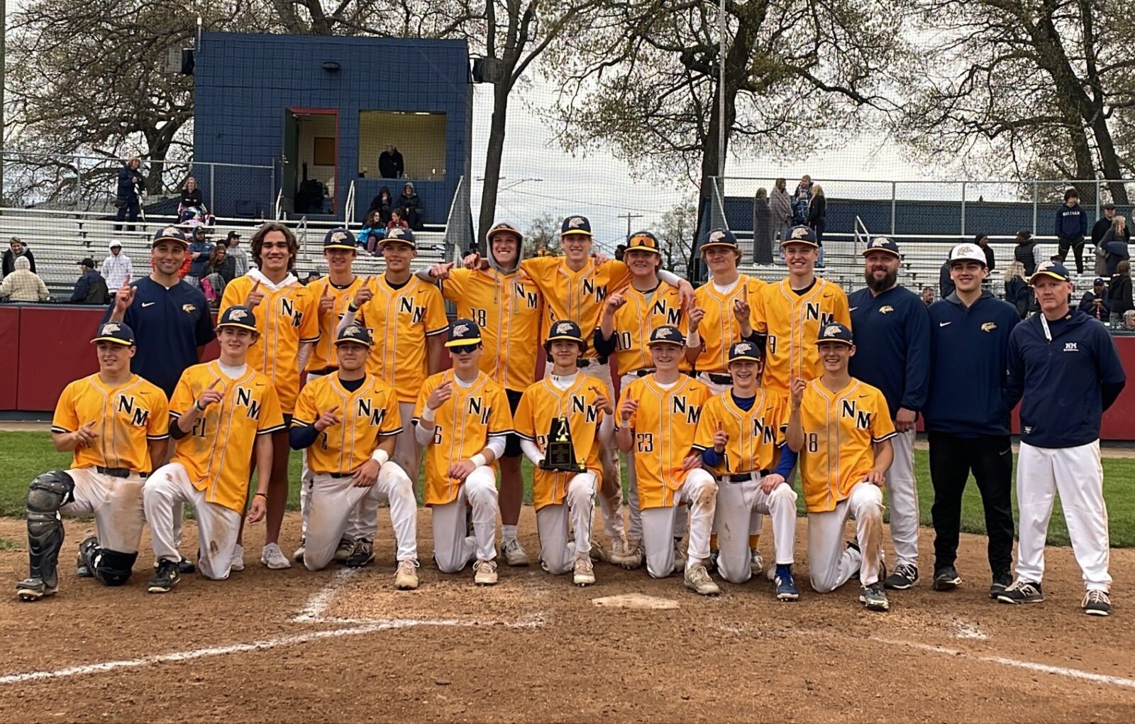 Pitching powers North Muskegon: Norse wrestle GMAA baseball title away ...