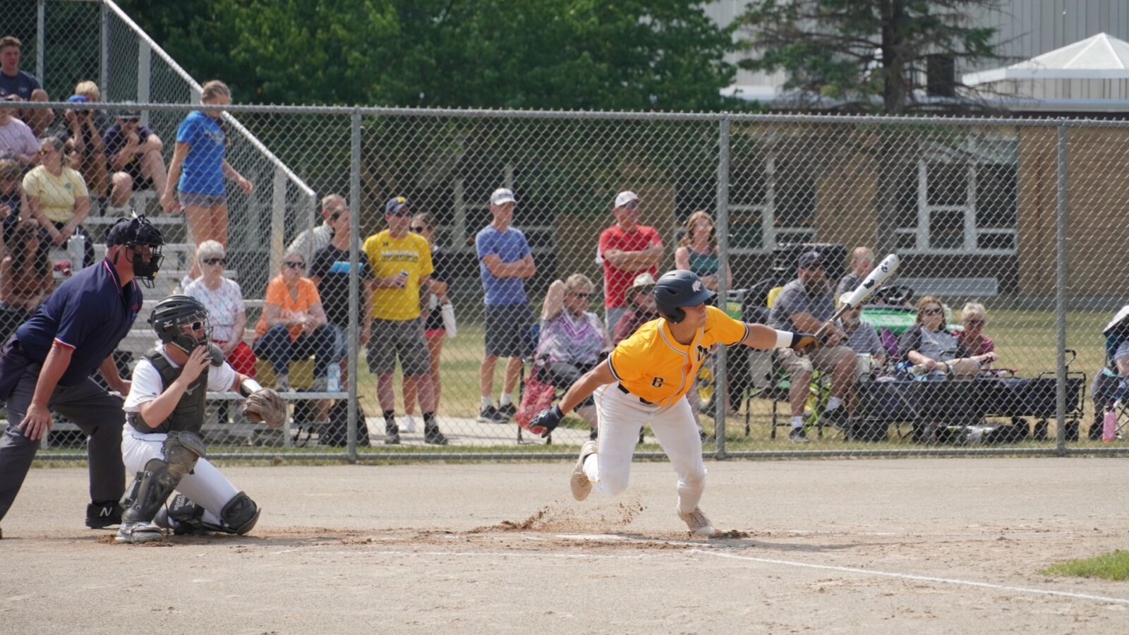 Sophomores spark record-setting North Muskegon baseball team to ...