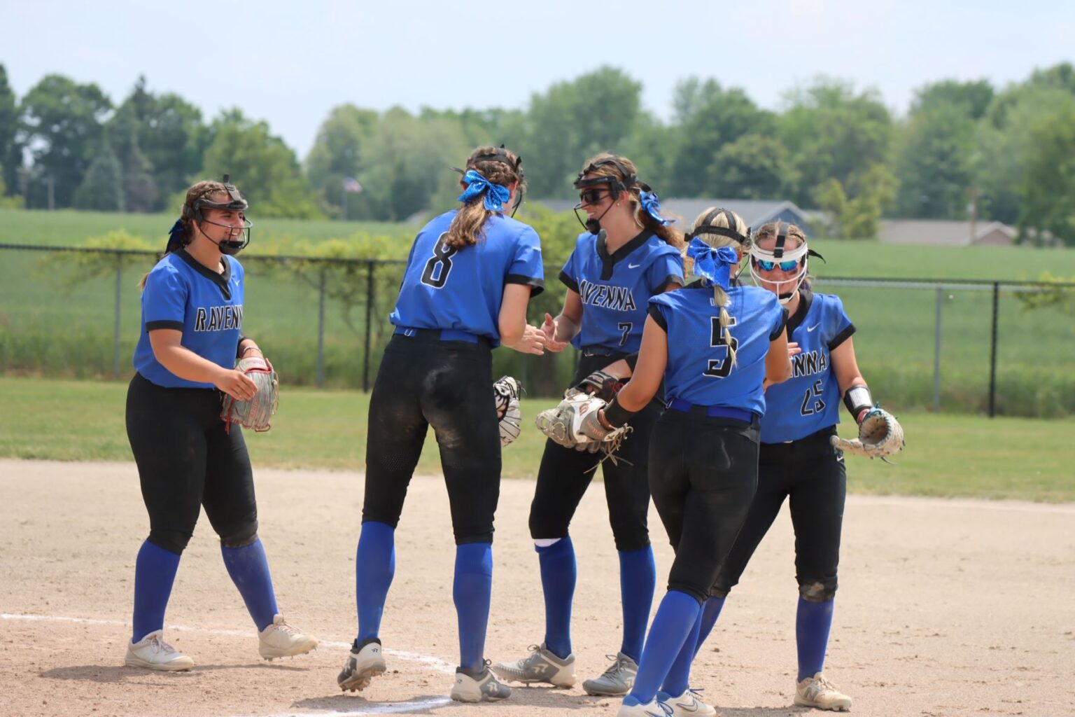 Pitching, deep lineup lead Ravenna softball to second straight district ...