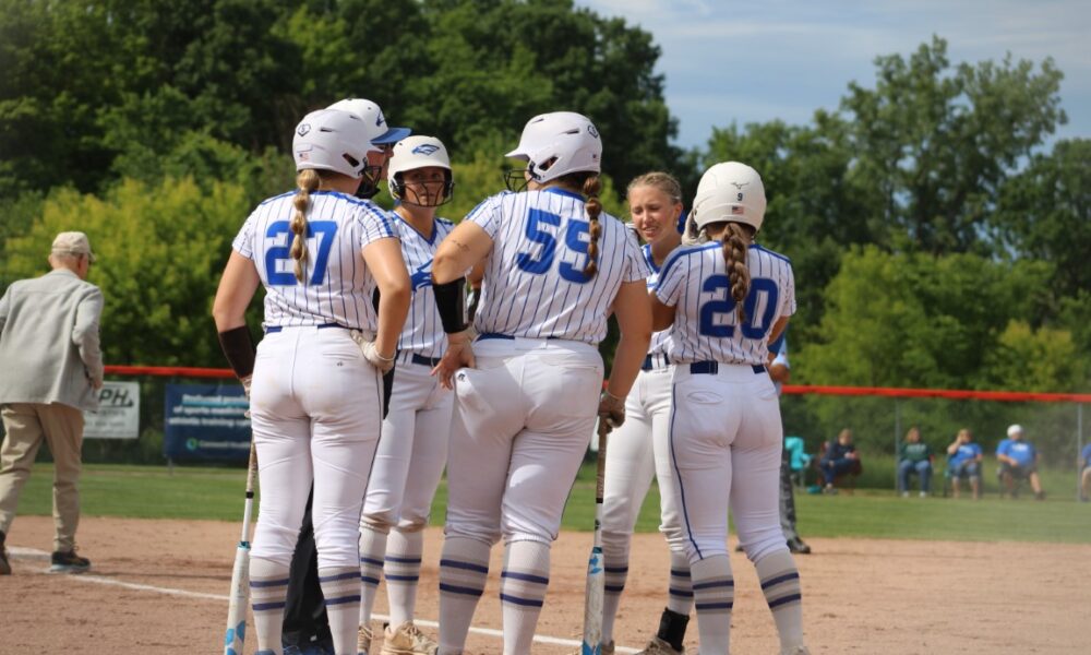 Meet the 2024 All-West Michigan Conference Lakes Division softball team ...