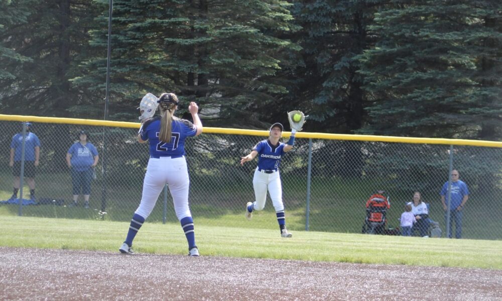 Spring softball is back: A look at all six WMC Lakes squads - CatchMark ...