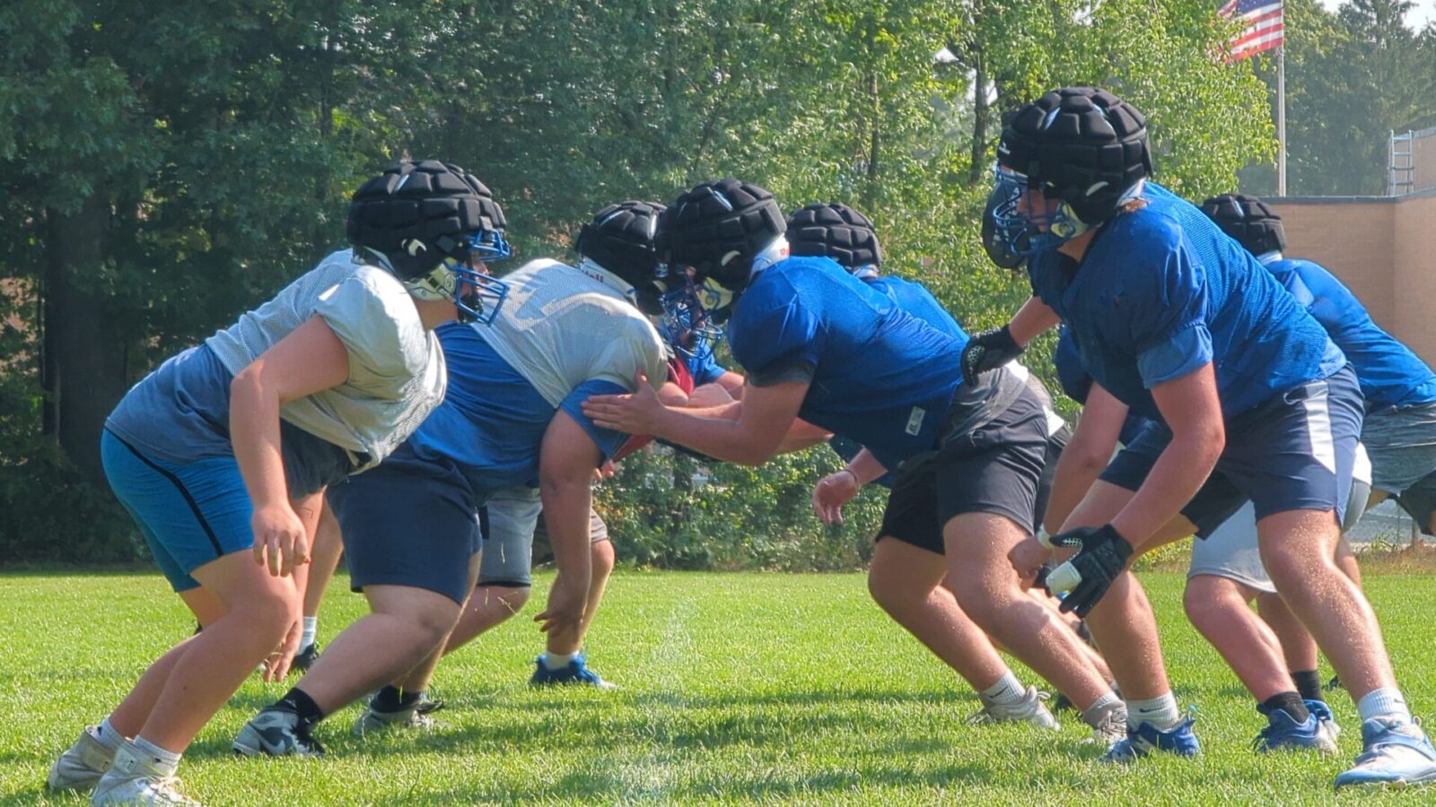 West Michigan Conference Football Preview 2024: Montague Wildcats ...